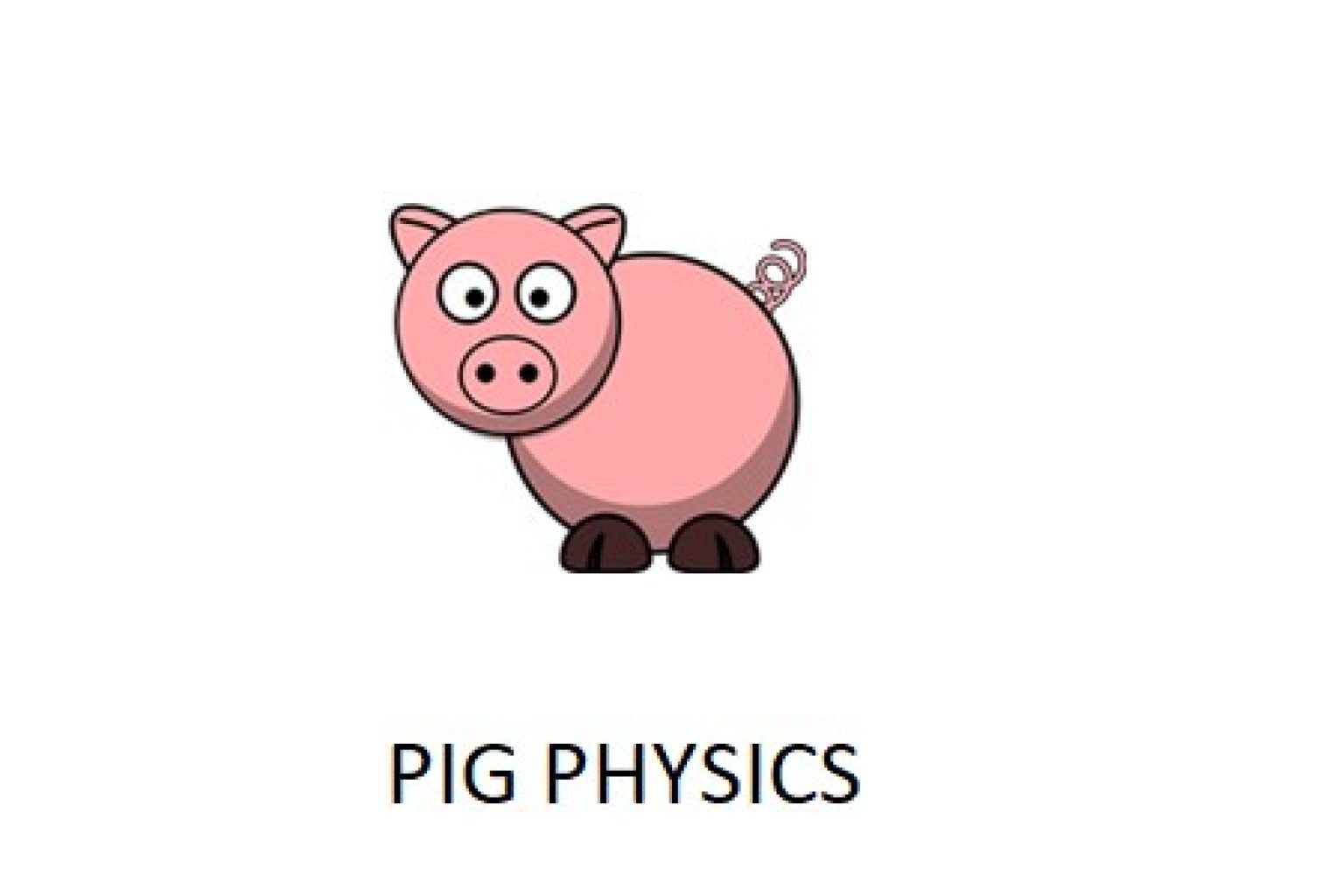 Pig Physics - Coffee Break